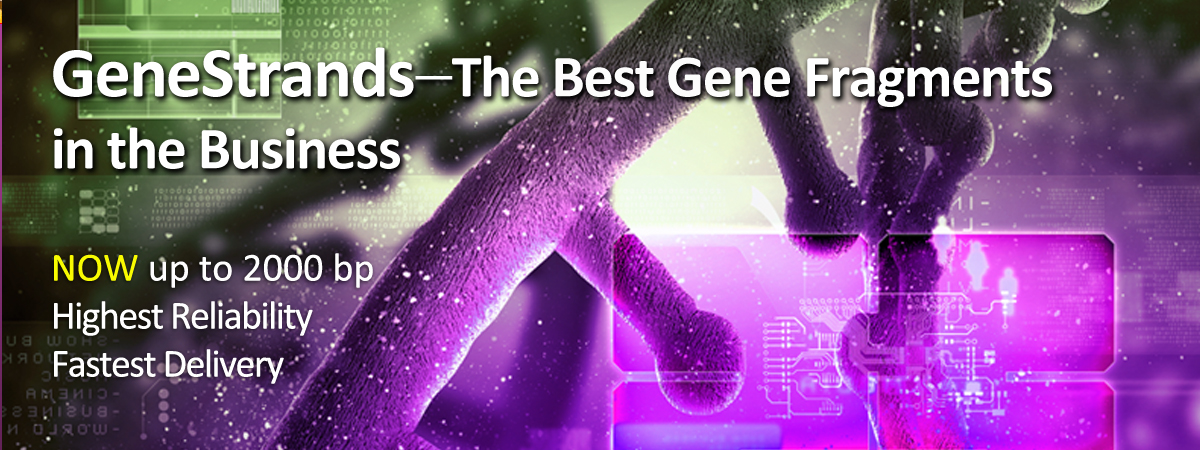 GeneStrands Gene Fragments